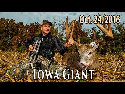 Giant Iowa Bow Kill - The Hunt for Lefty | Midwest Whitetail ...